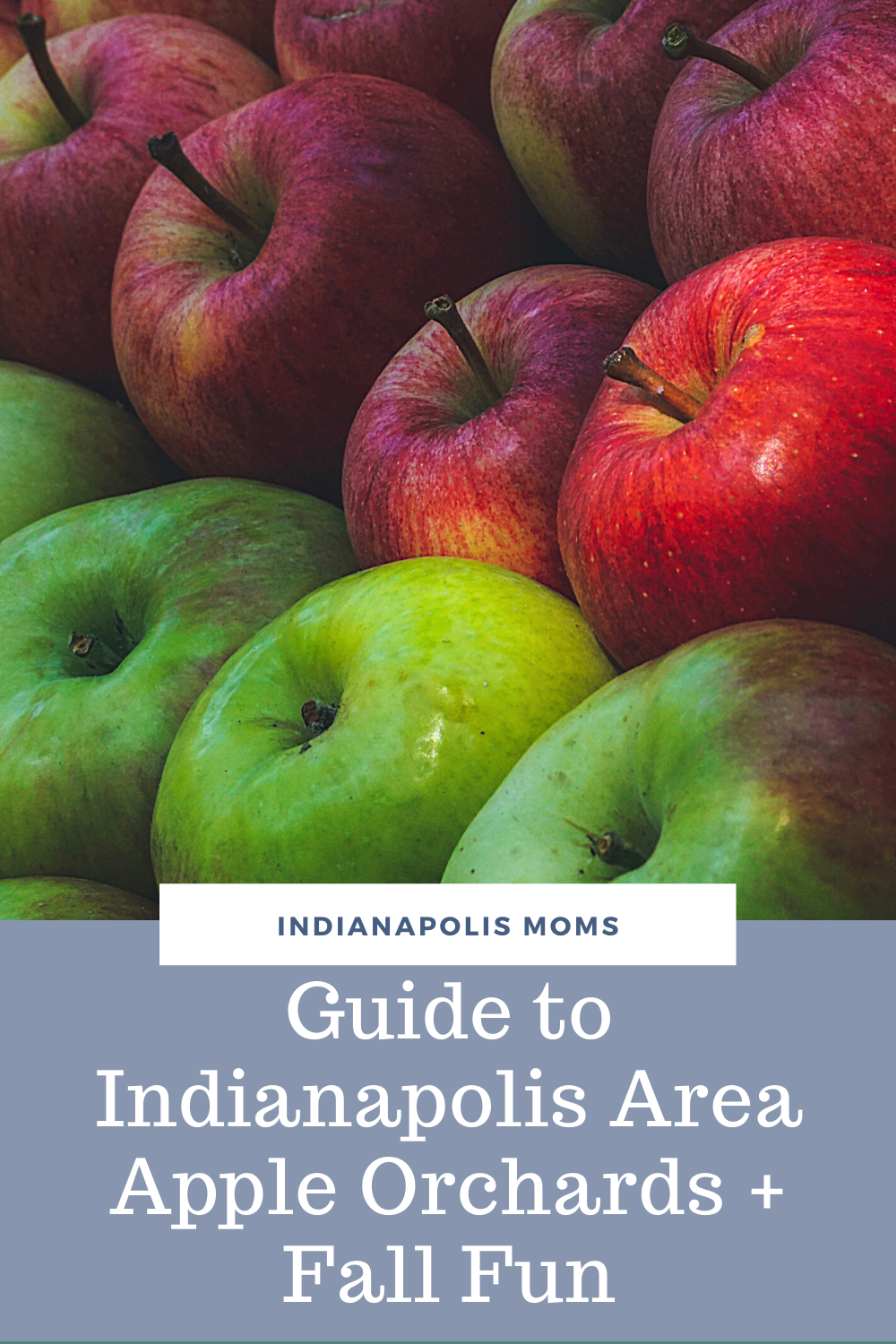 See Circle City: Guide to Indianapolis Area Apple Orchards + Fun