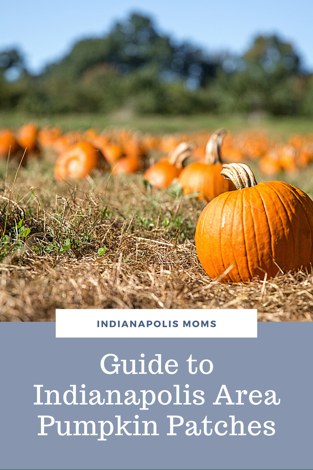 See Circle City: Guide to Indianapolis Area Pumpkin Patches