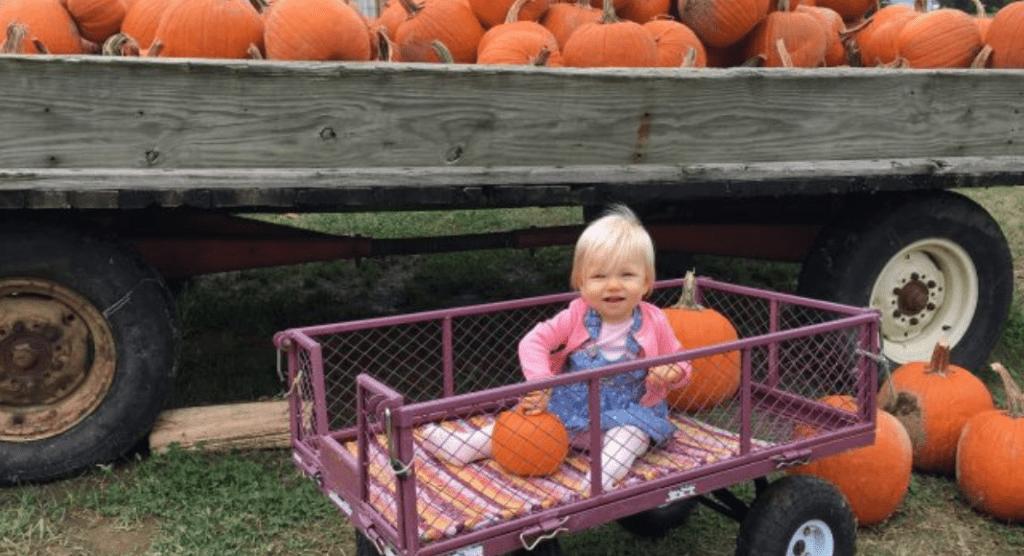 Creating Fall Traditions As A Family