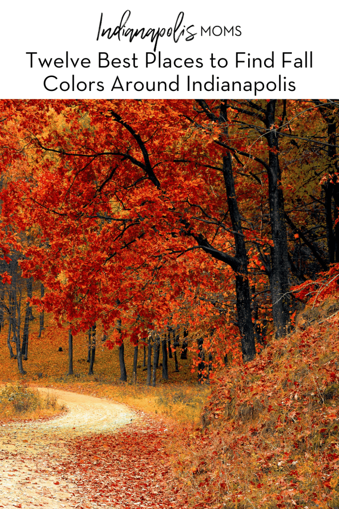 Twelve Best Places to Find Fall Colors Around Indianapolis