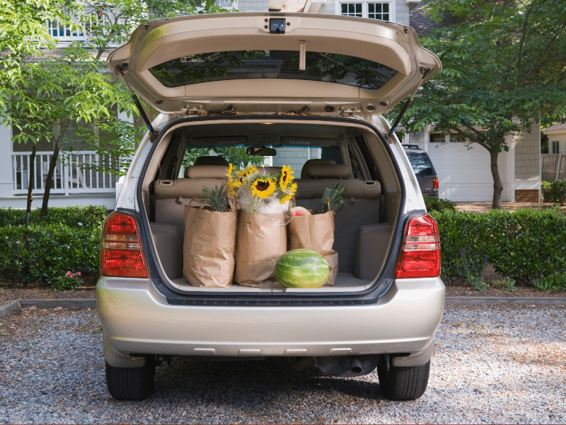 Millennial Minivan Mom